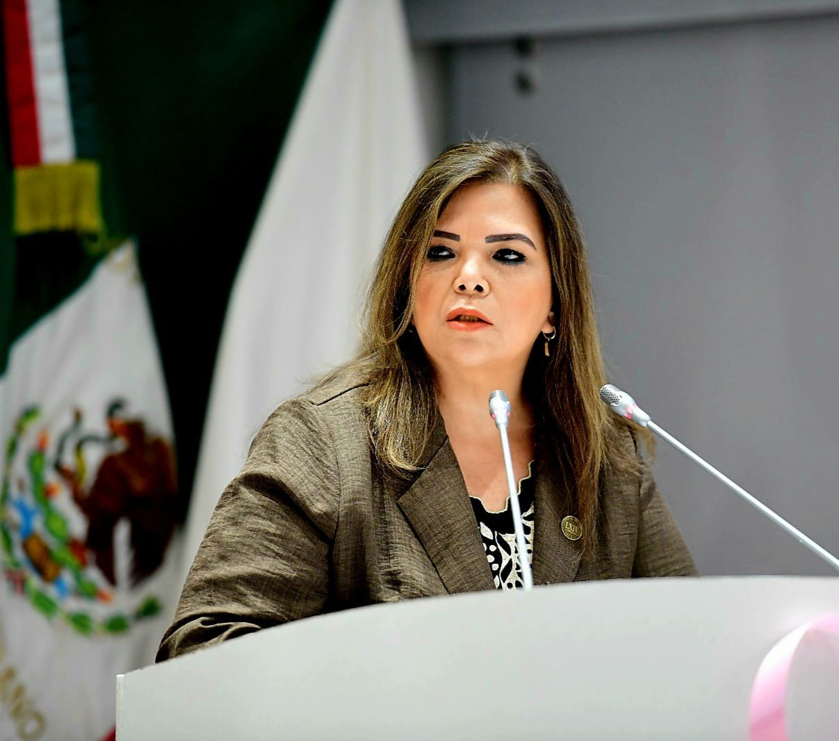 La Diputada Ana Gabriela Tapia Fonllem exige transparencia y rendición ...